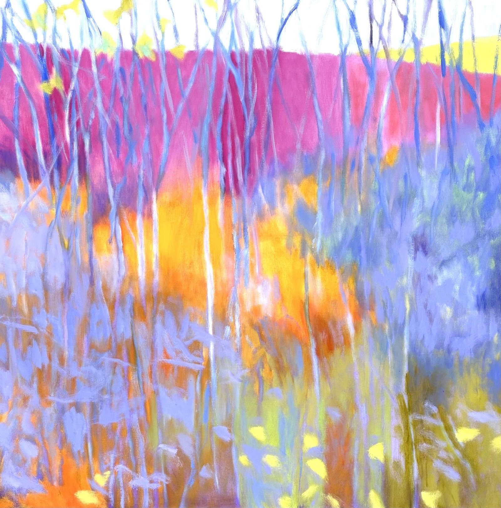 What Color Are The Shadows? – Marshall Noice